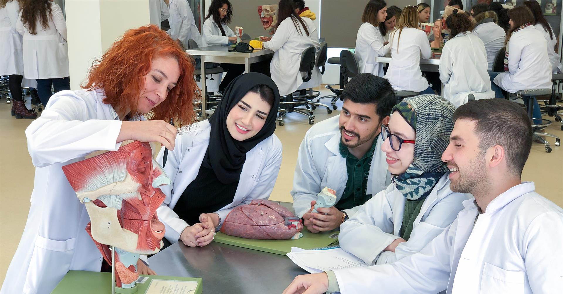 Faculty of Medicine - EMU